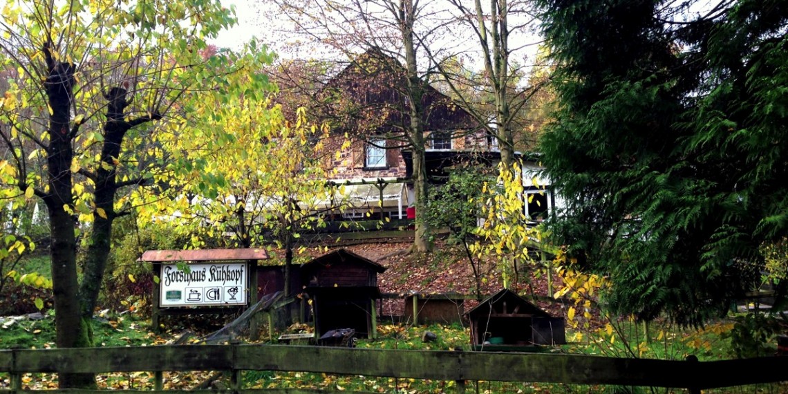 Lauf durch den Stadtwald Koblenz über Kühkopf und Remstecken
